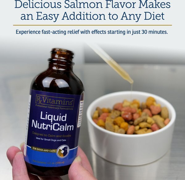 RX VITAMINS NutriCalm Liquid Calming Supplement for Cats & Dogs, 4-fl ...