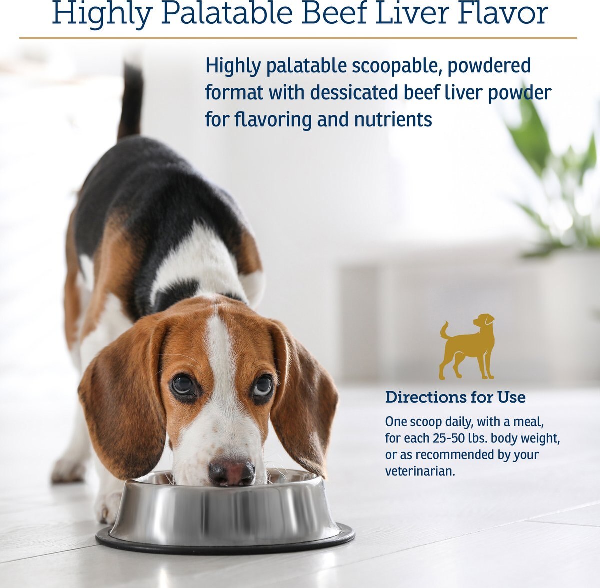 RX VITAMINS Rx Essentials Powder Multivitamin for Dogs, 8-oz bottle ...