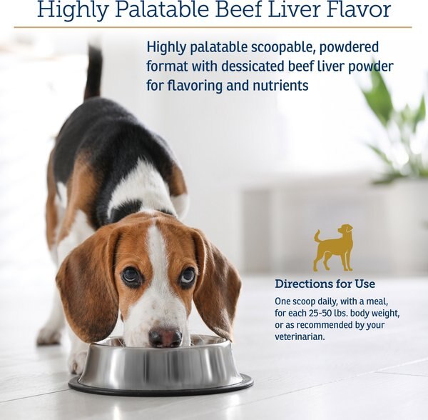 RX VITAMINS Rx Essentials Powder Multivitamin for Dogs, 8-oz bottle ...