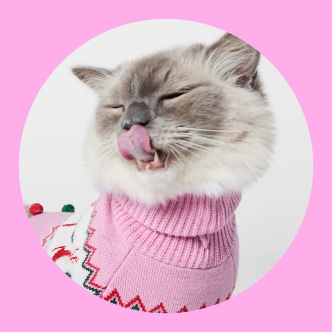 Pet Supplies and Food | 35% Off Autoship + Low Prices | Chewy