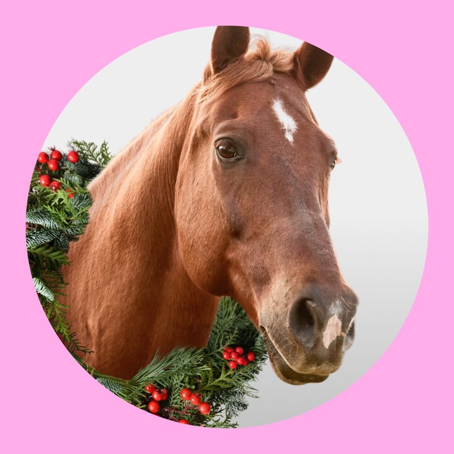 Pet Supplies and Food | 35% Off Autoship + Low Prices | Chewy