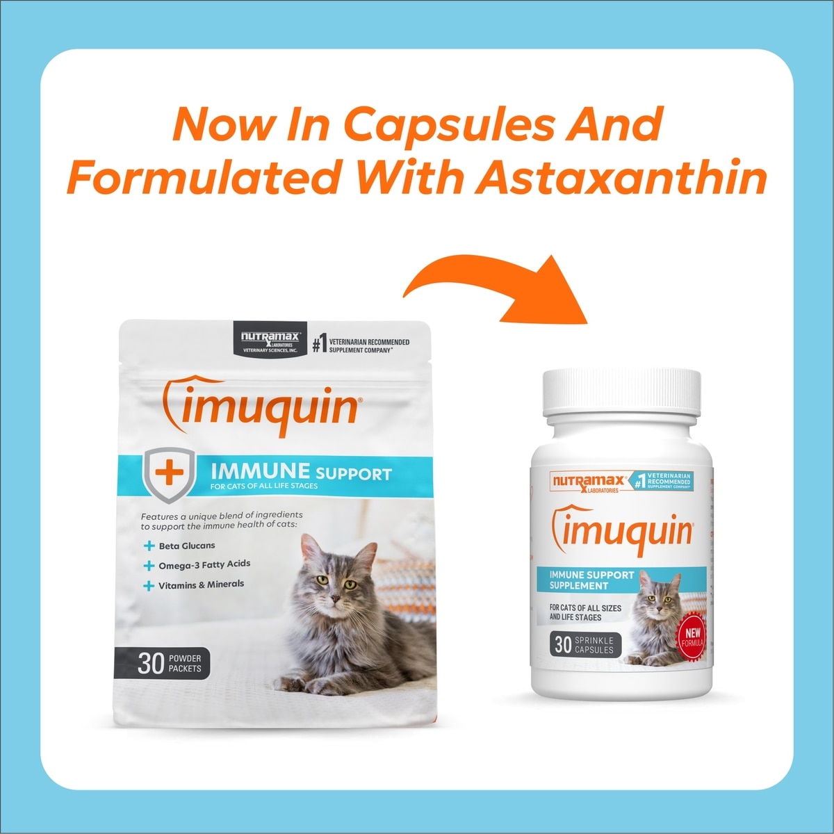 NUTRAMAX Imuquin with Beta Glucans, Marine Lipids, Vitamins & Minerals ...