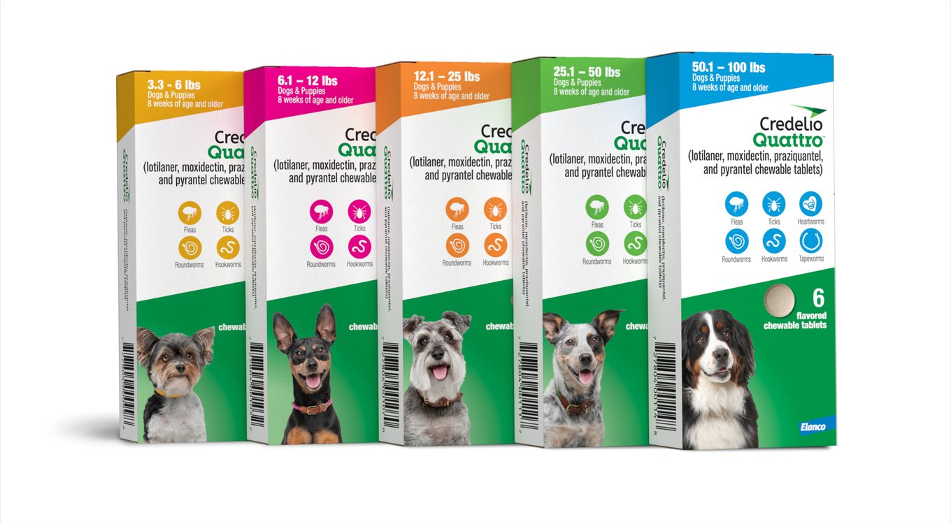 CREDELIO QUATTRO Chewable Tablets for Dogs, 6.1-12 lbs, 6 Chewables (6 ...