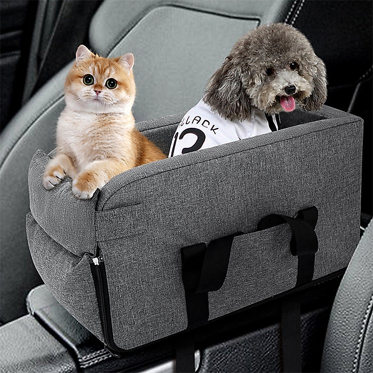 Cat Car Accessories: Belts, Barriers & Car Seats (Free Shipping) | Chewy
