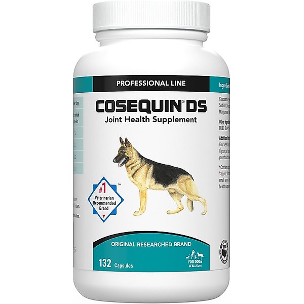 NUTRAMAX Imuquin Immune Support Powder Immune Supplement for Dogs, 30 ...