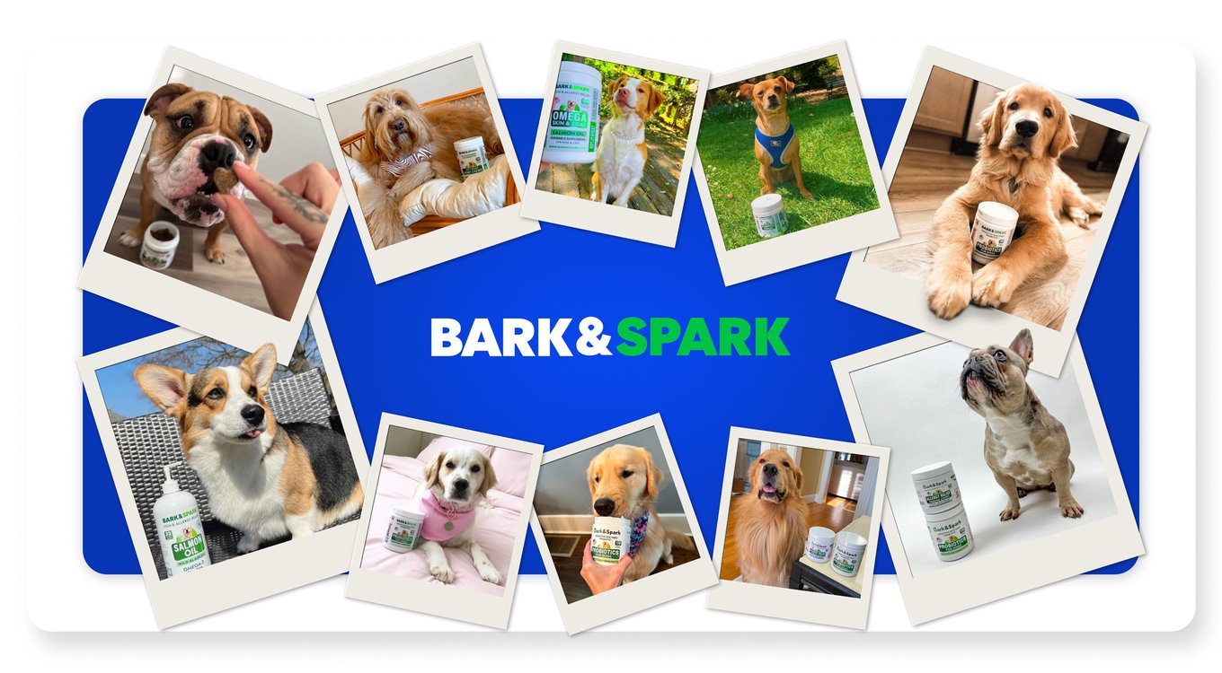 BARK&SPARK Glucosamine Chondroitin Hip & Joint with Omegas 3 & Fish Oil Advanced Mobility Chew ...