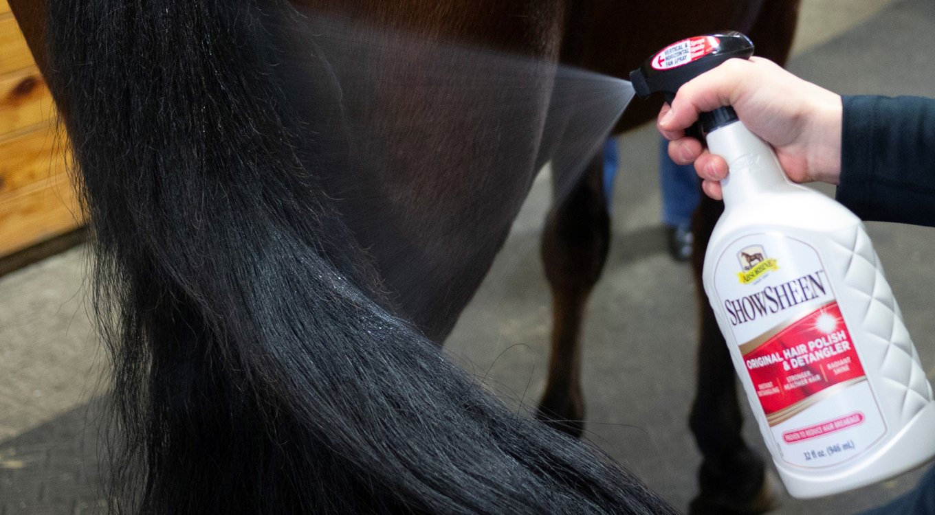 ABSORBINE Veterinary Sore Muscle & Joint Pain Relief Horse Liniment Gel ...