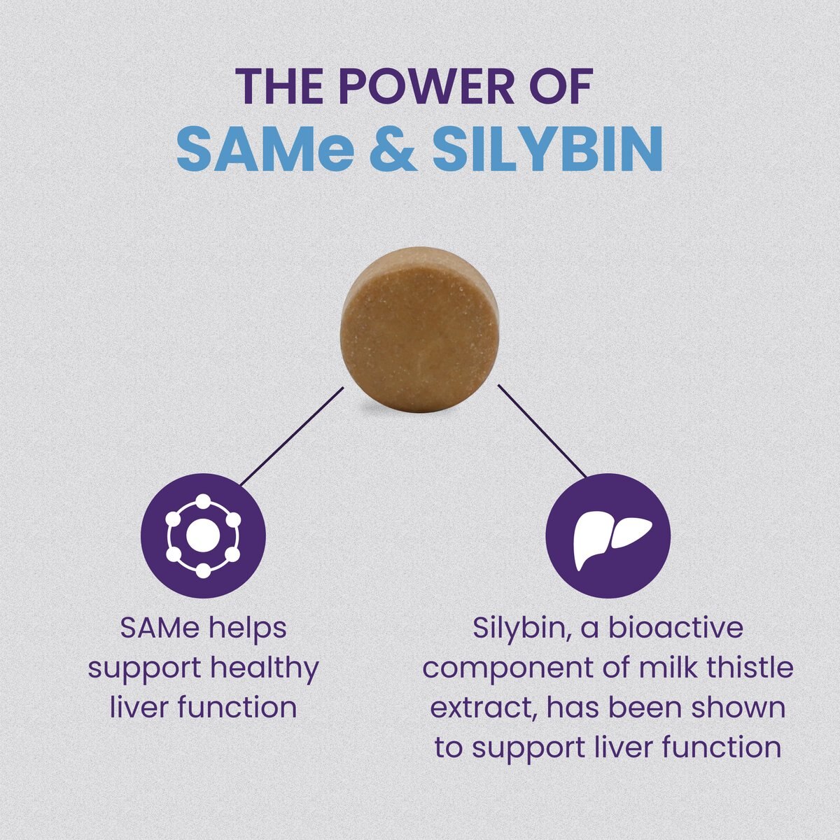 NUTRAMAX Denamarin with S-Adenosylmethionine & Silybin Tablets Liver ...