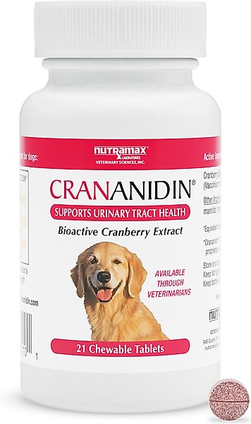 NUTRAMAX Crananidin Chewable Tablets Urinary Supplement for Dogs, 150 ...