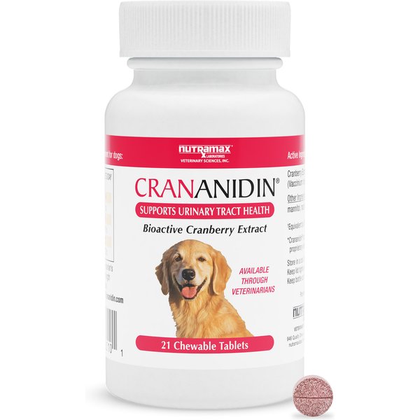 Best Urinary Supplements for Dogs 2026: According to Reviews | Chewy