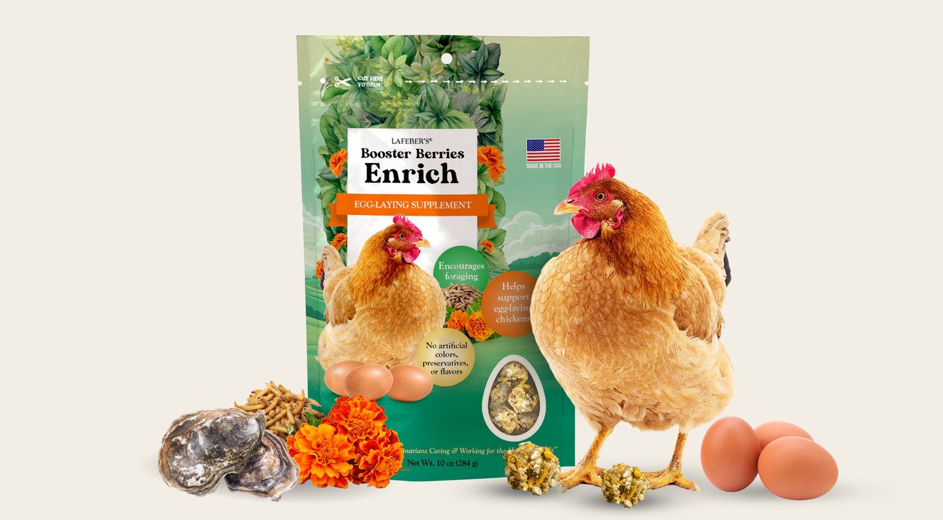 LAFEBER Booster Berries Senior Pellet Chicken Supplement, 3-lb bag ...