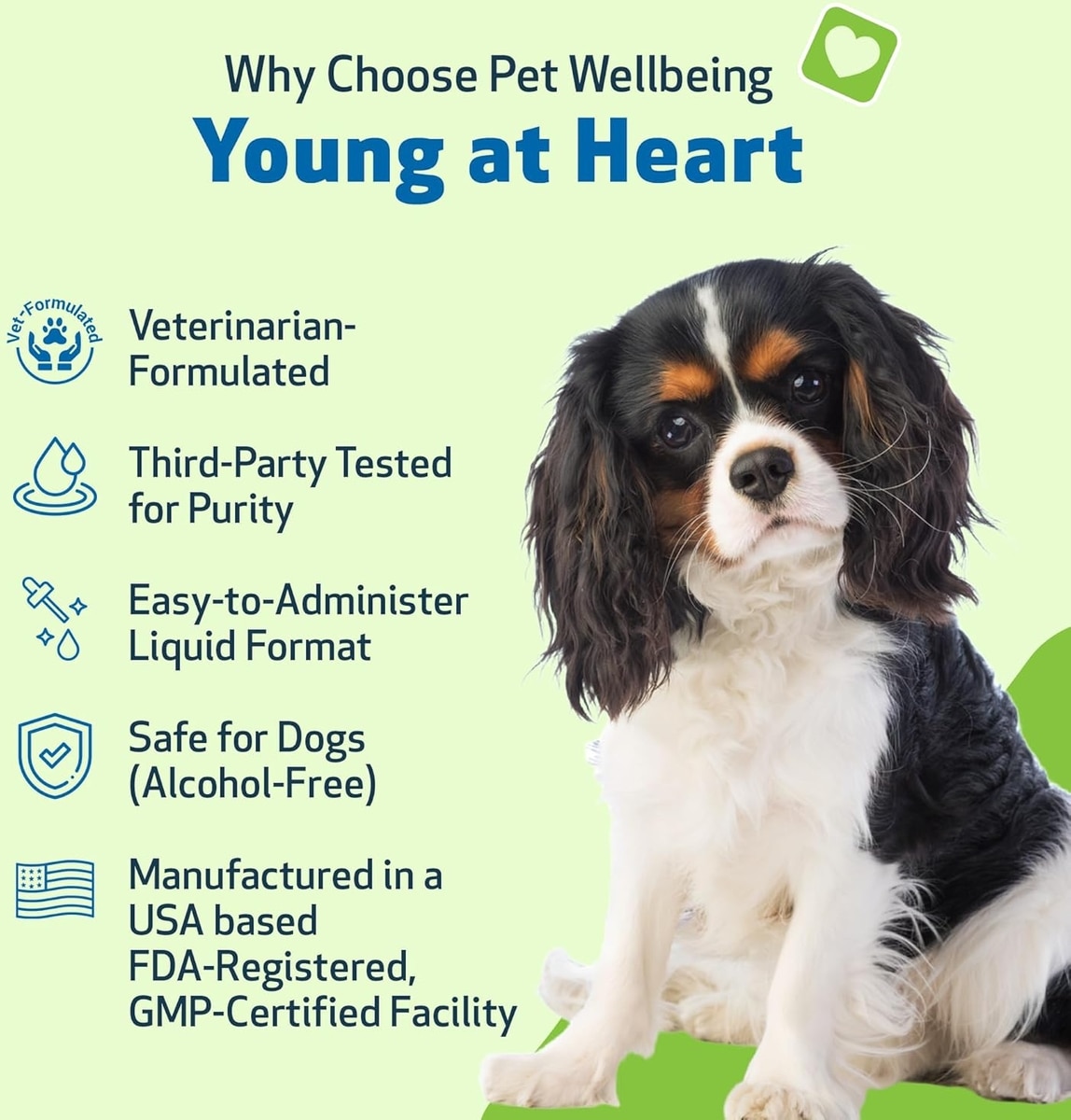 PET WELLBEING Young at Heart Bacon Flavored Liquid Heart Supplement for ...