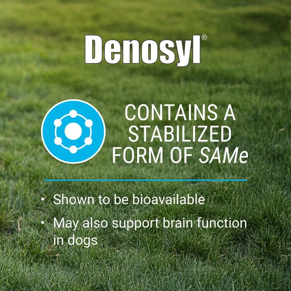 NUTRAMAX Laboratories Denosyl Liver & Brain Health Supplement ...