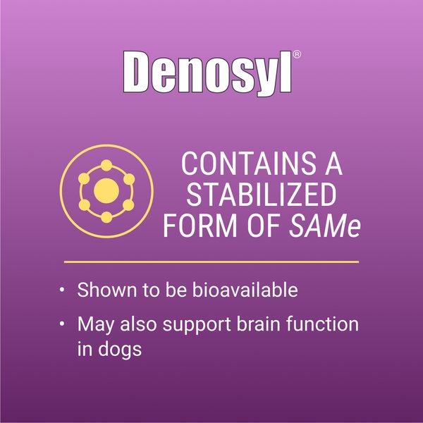 NUTRAMAX Laboratories Denosyl Liver Health Supplement Stabilized ...