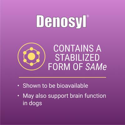 NUTRAMAX Laboratories Denosyl Liver Health Supplement Stabilized ...