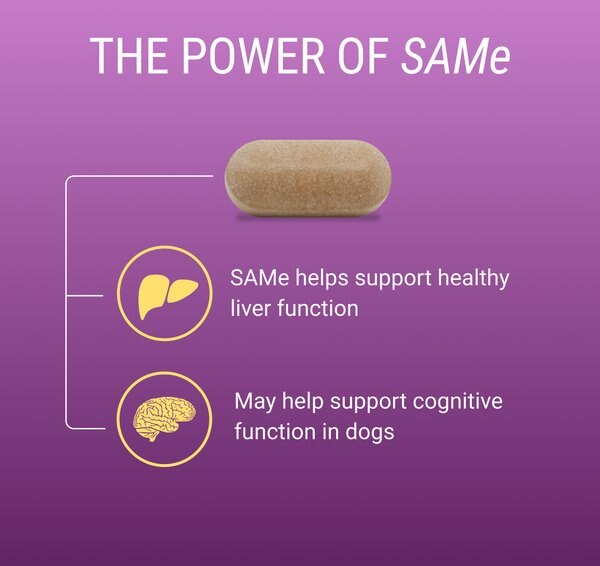 NUTRAMAX Laboratories Denosyl Liver Health Supplement Stabilized ...