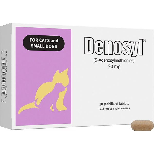 NUTRAMAX Laboratories Denosyl Liver Health Supplement Stabilized ...