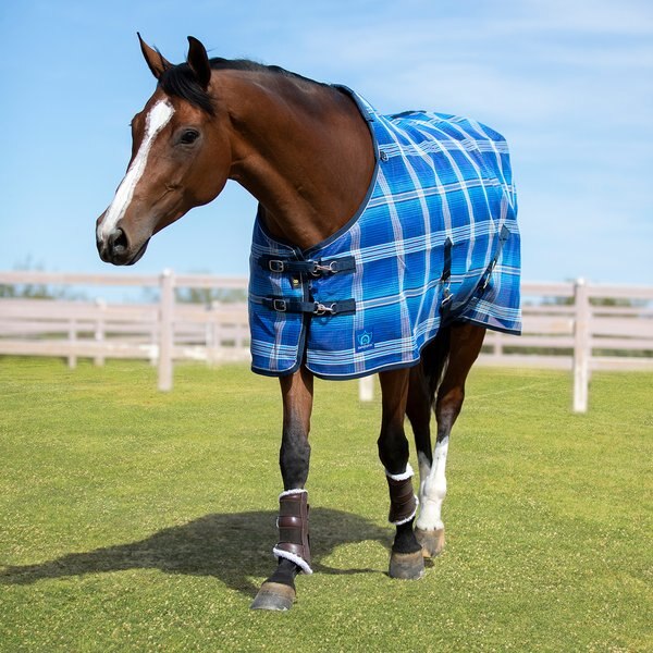 KENSINGTON PROTECTIVE PRODUCTS UV Protective Horse Fly Sheet, 63-in ...