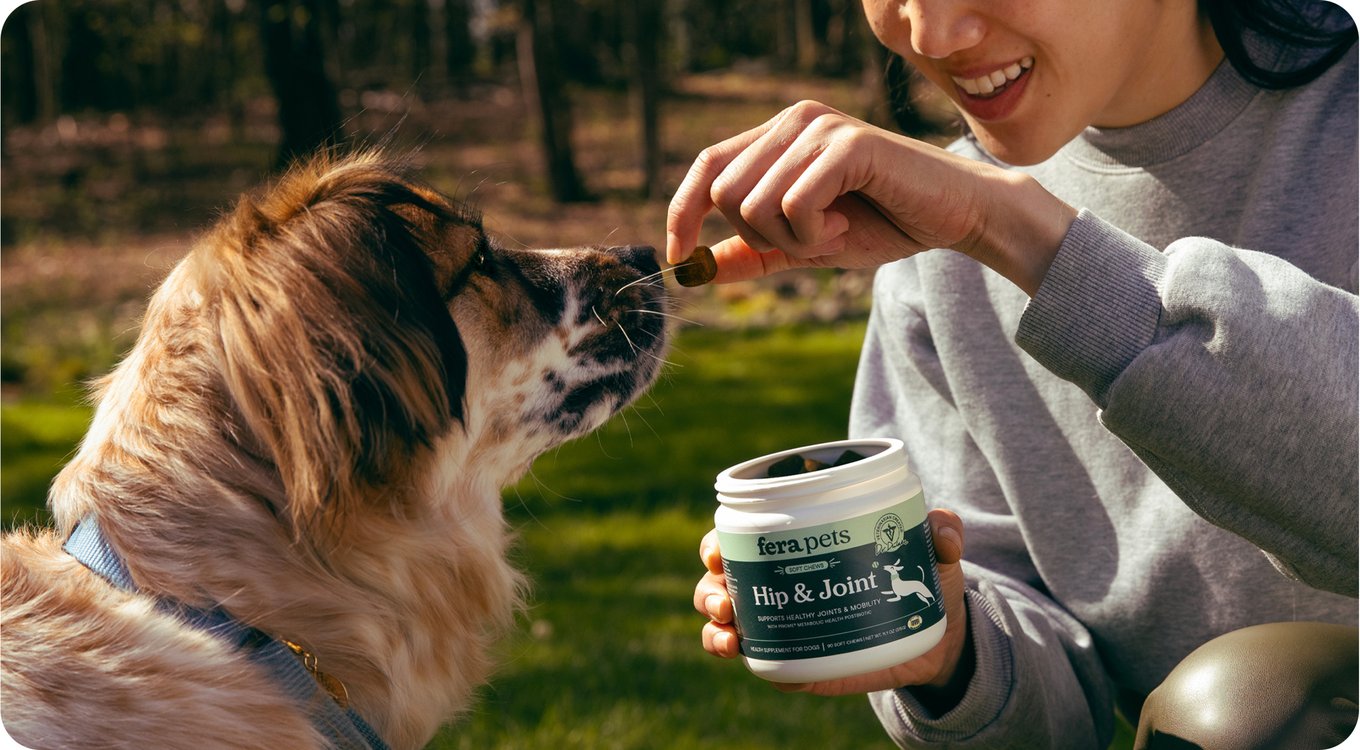 FERA PETS Probiotics with Organic Prebiotics for Dogs & Cats, 60 ...