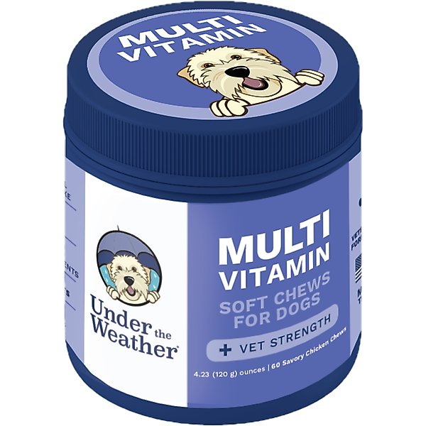 NATIVE PET The Daily Powder 11-in-1 Multivitamin Supplement for Dogs, 7 ...