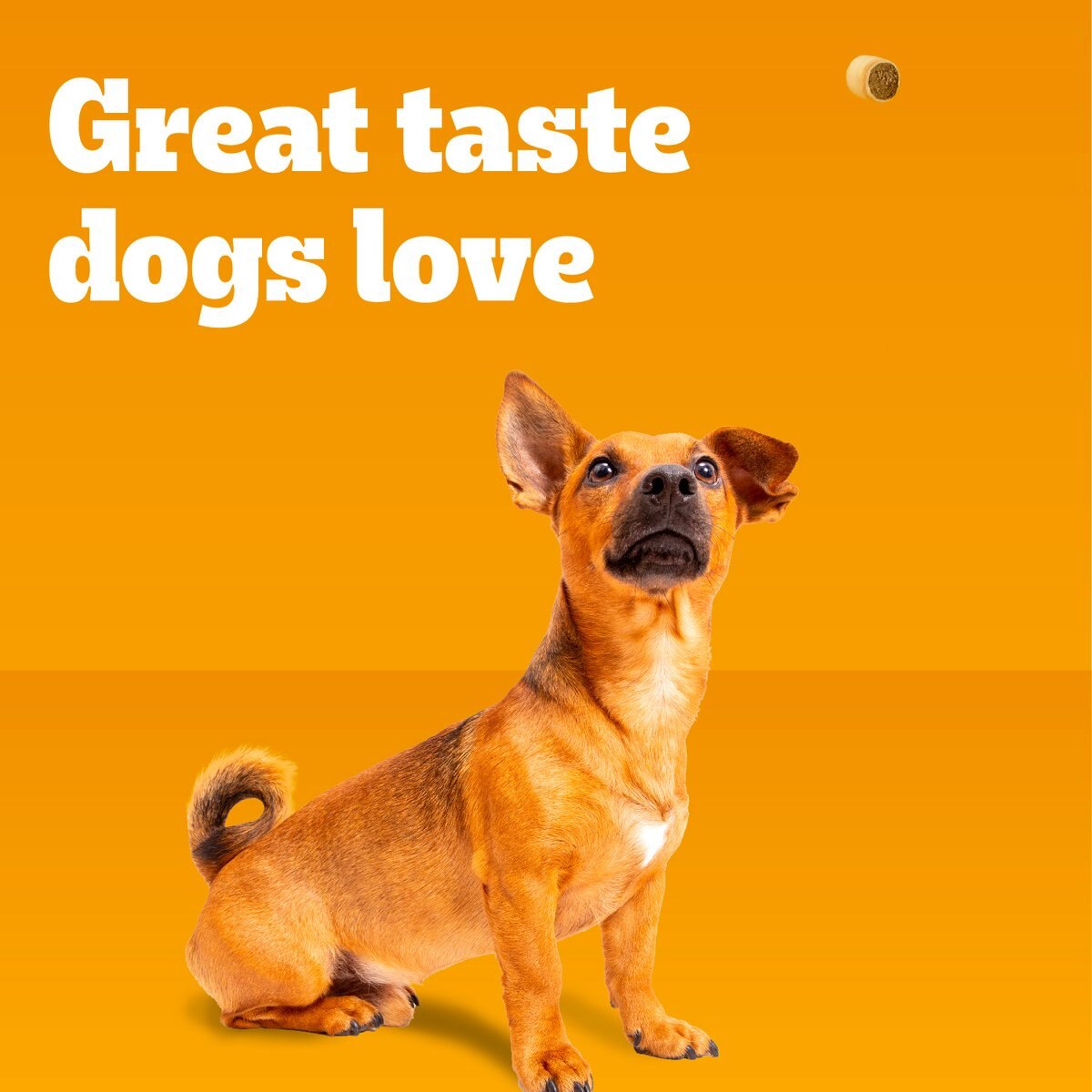 PEDIGREE Mini Marrobone Real Beef Flavor Biscuit Dog Treats, 15-oz bag ...