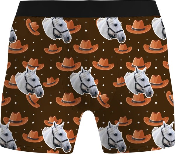ISLIDE Cowboy Hat Pet Boxer Briefs, Brown, Medium - Chewy.com
