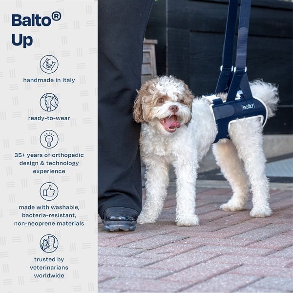 BALTO Up Rear Dog Harness Support, Medium - Chewy.com