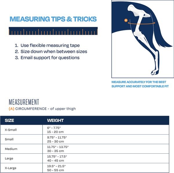 BALTO Up Rear Dog Harness Support, Medium - Chewy.com