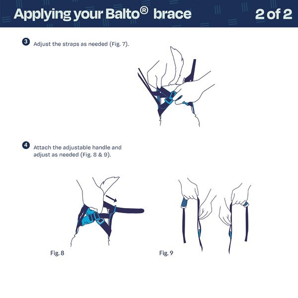 BALTO Up Rear Dog Harness Support, Medium - Chewy.com