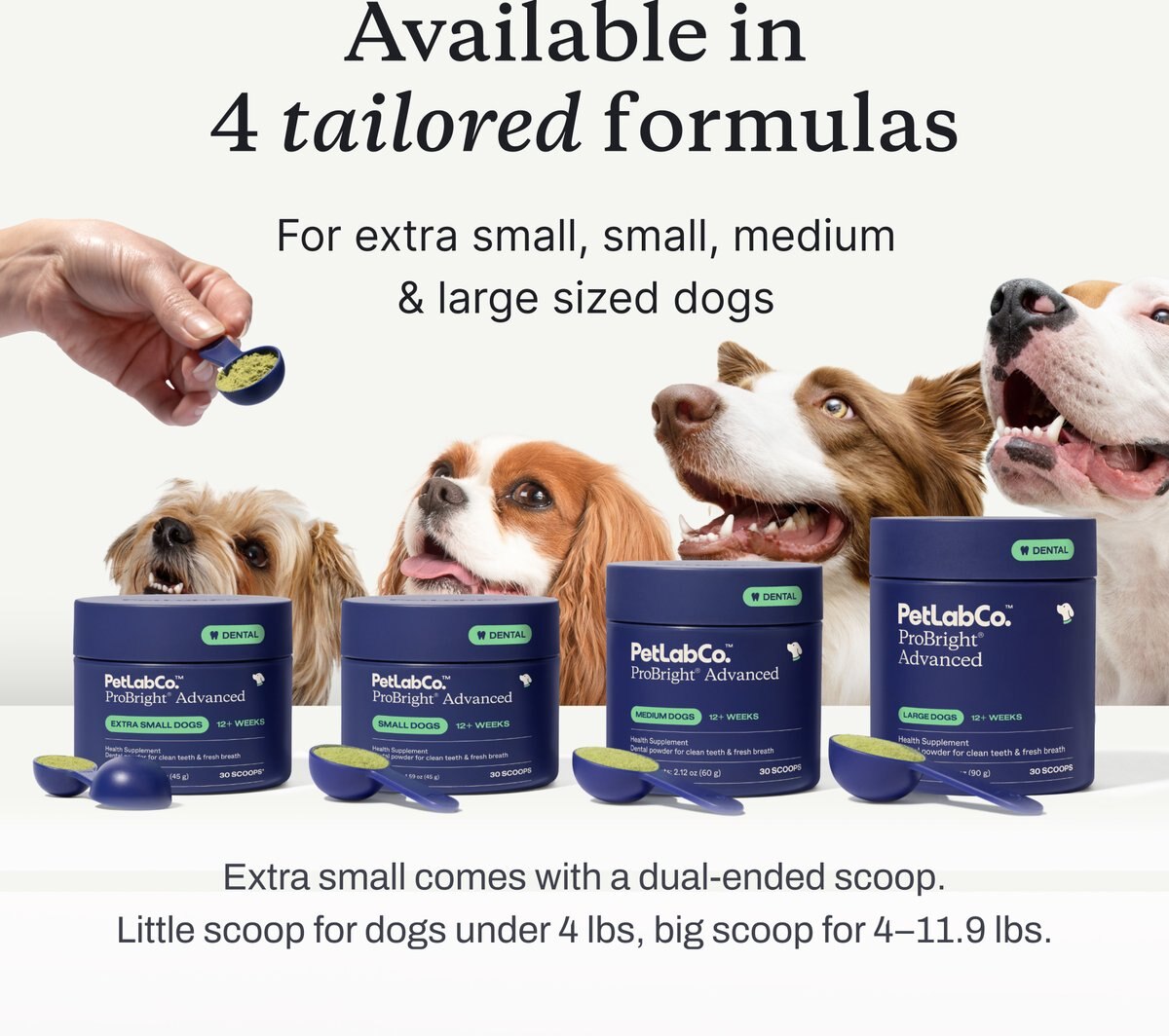 PETLAB CO. ProBright Advanced Chicken Flavored Powder Dental Supplement ...