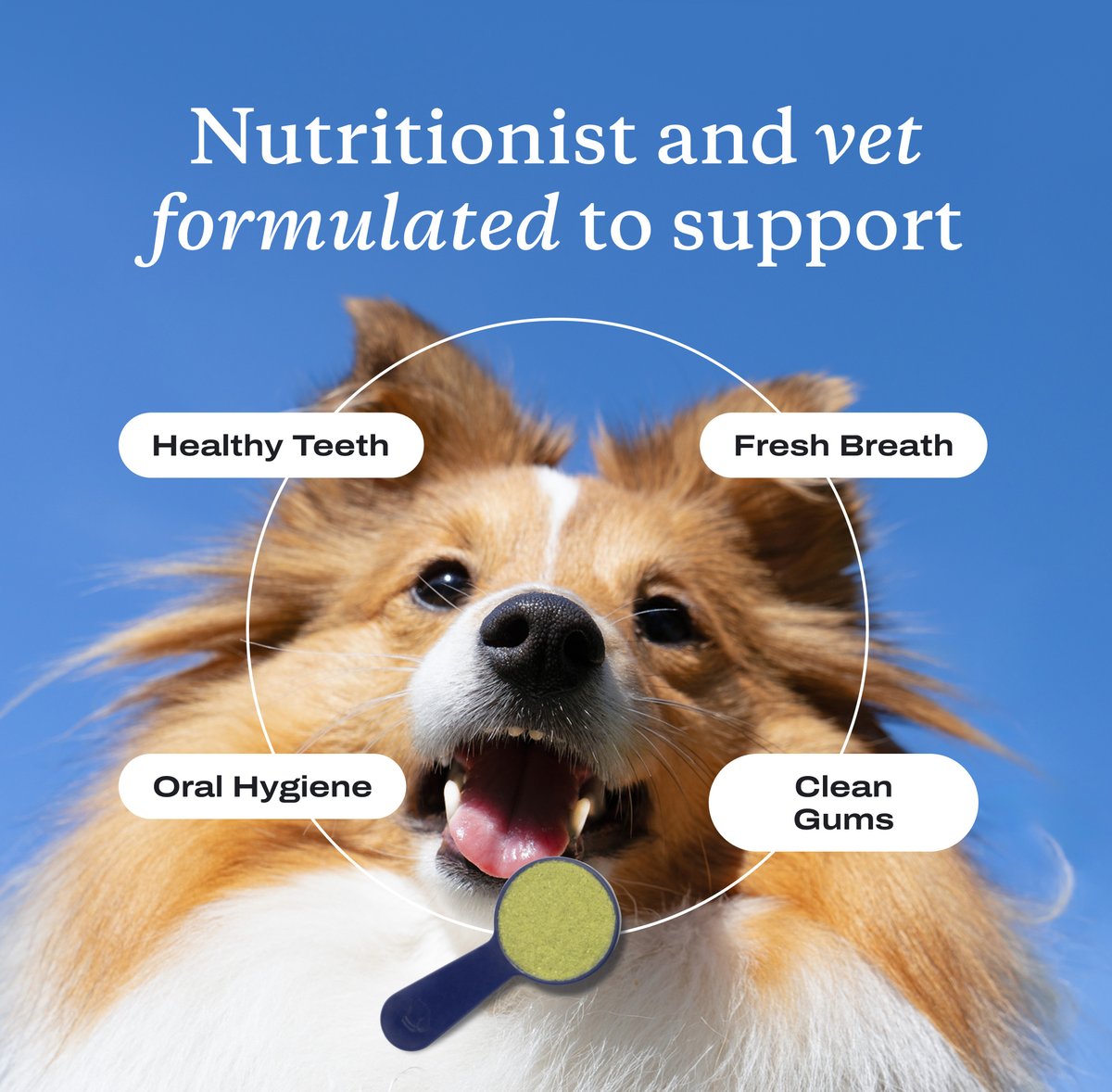 PETLAB CO. ProBright Dog Dental Powder for Small Dogs - Chewy.com