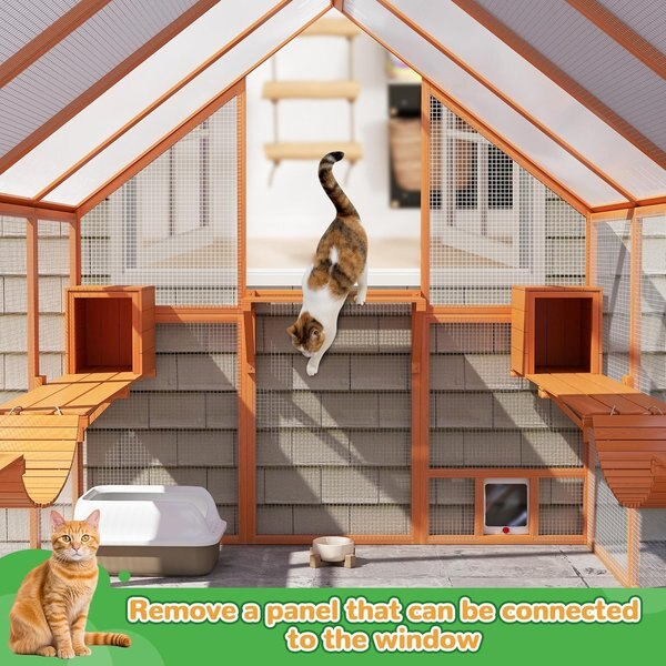 COZIWOW Outdoor Walk-in Catio Cat Exercise Pen, Orange - Chewy.com