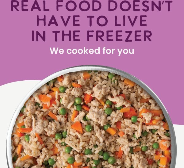 HEALTH EXTENSION Gently Cooked Chicken & Pumpkin Recipe Wet Dog Food, 9 ...