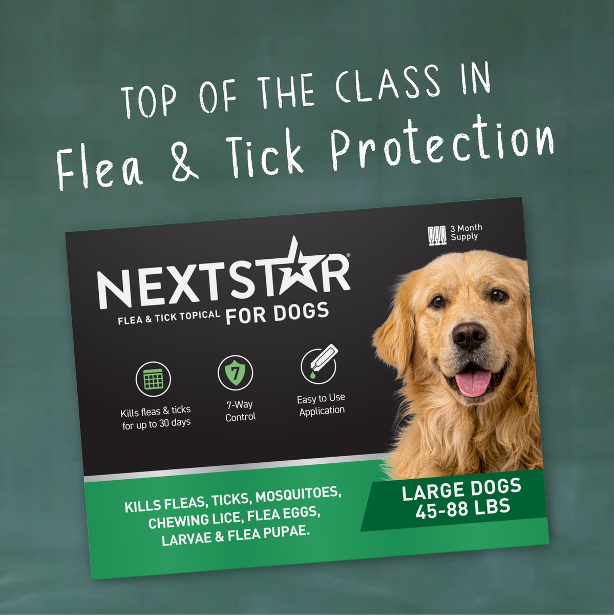 NEXTSTAR Flea & Tick Topical Treatment for Large Dogs, 45-88 lbs, 9 ...