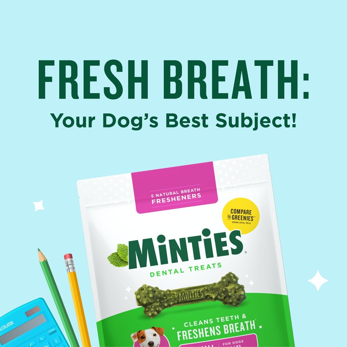 MINTIES Tiny/Small Mint Flavored Dental Treats for Dogs, 5-24 lbs, 6.4 ...