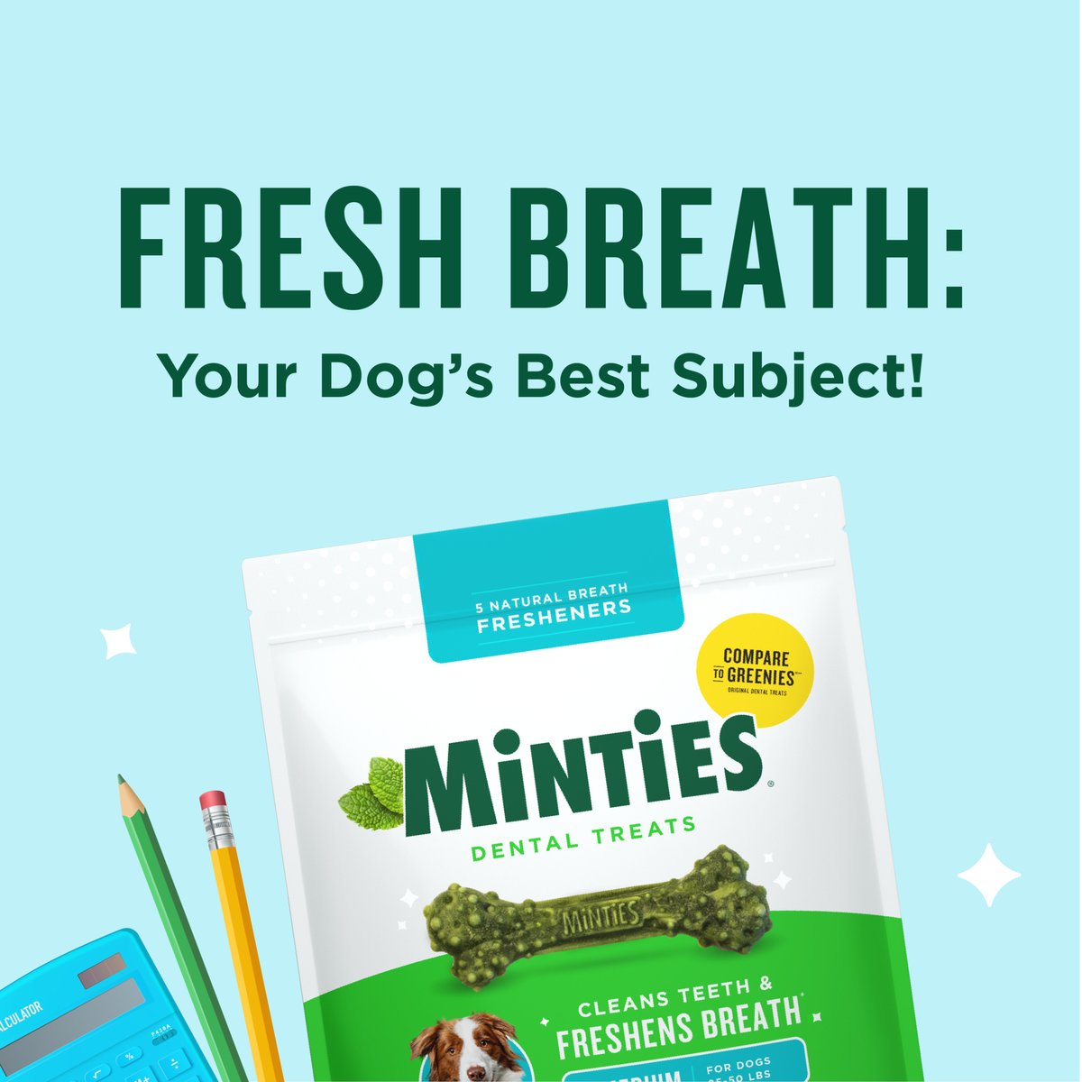 MINTIES Medium Mint Flavored Dental Treats for Dogs, 25-50 lbs, 6.4-oz ...