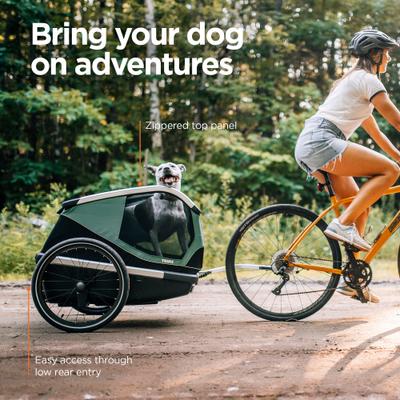 THULE Bexey Dog Bike Trailer, Hazy Green, Medium - Chewy.com