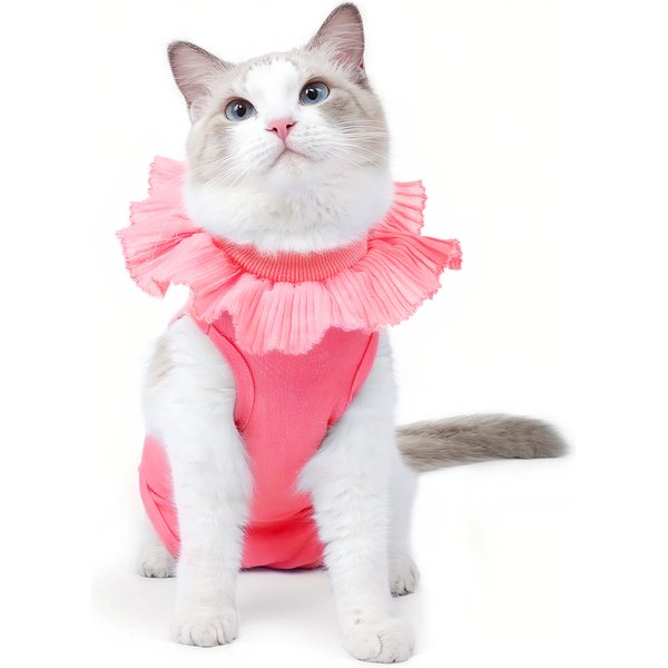 HAPPY & POLLY Cat Recovery Suit, Pink, Large - Chewy.com
