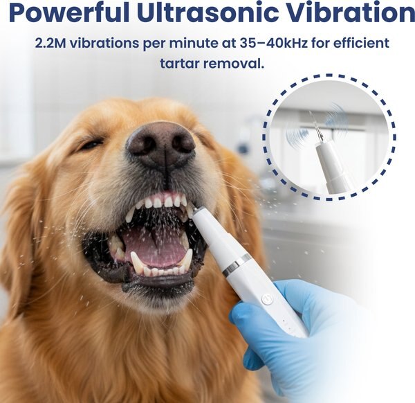 PAWSPIK Ultrasonic Teeth Cleaner Dog Dental Kit, White - Chewy.com