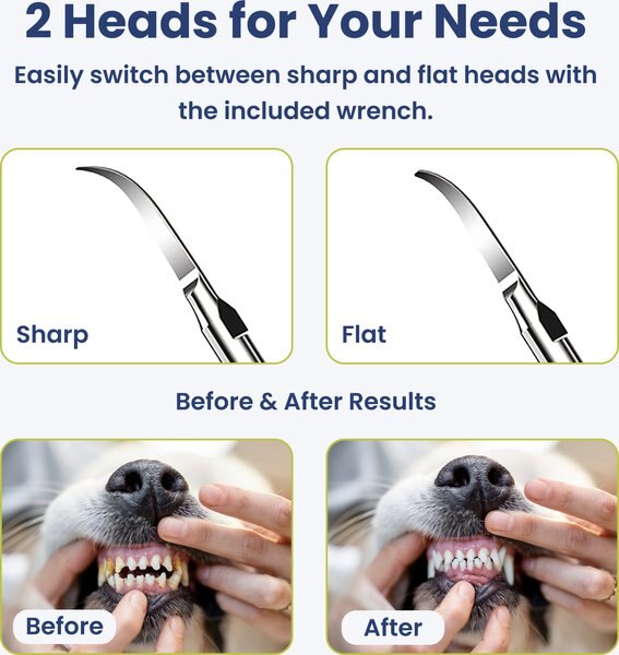 PAWSPIK Ultrasonic Teeth Cleaner Dog Dental Kit, White - Chewy.com