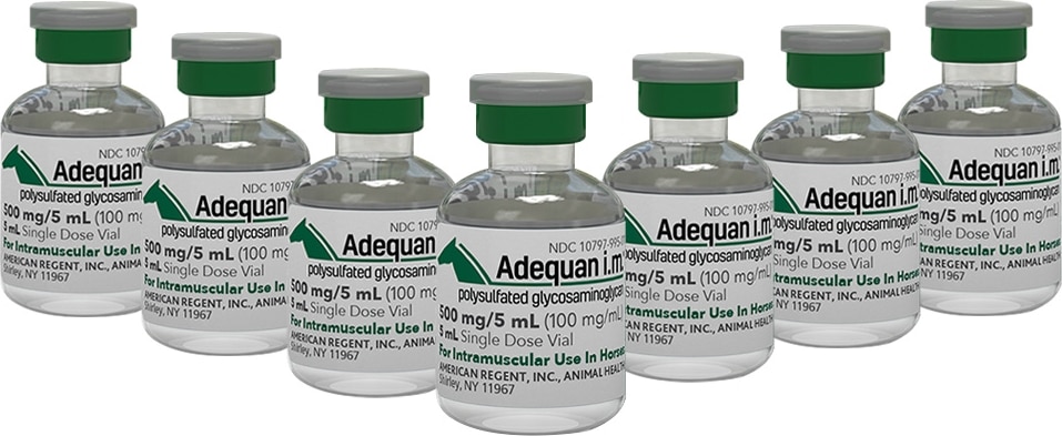 ADEQUAN EQUINE i.m. (polysulfated glycosaminoglycan) Injectable for ...