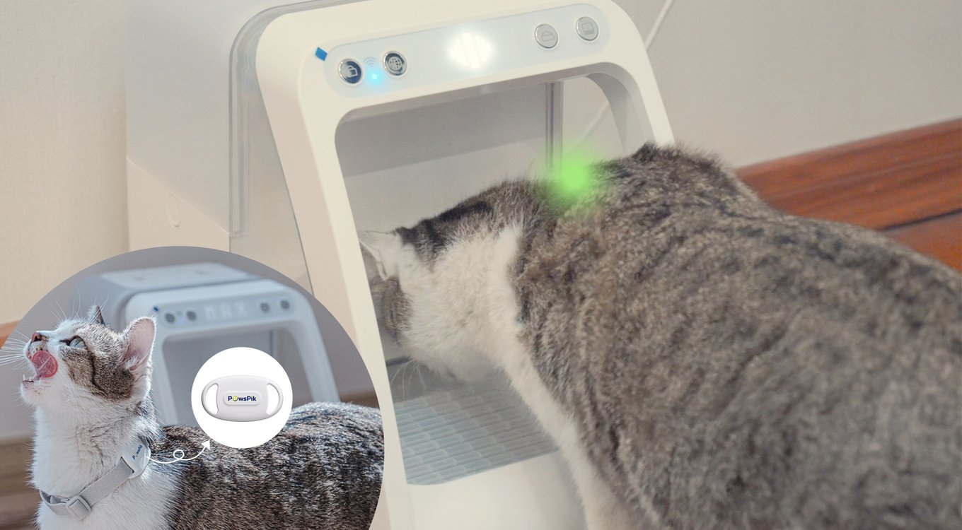 PAWSPIK Automatic Microchip RFID Cat Feeder, White, 16-cup - Chewy.com