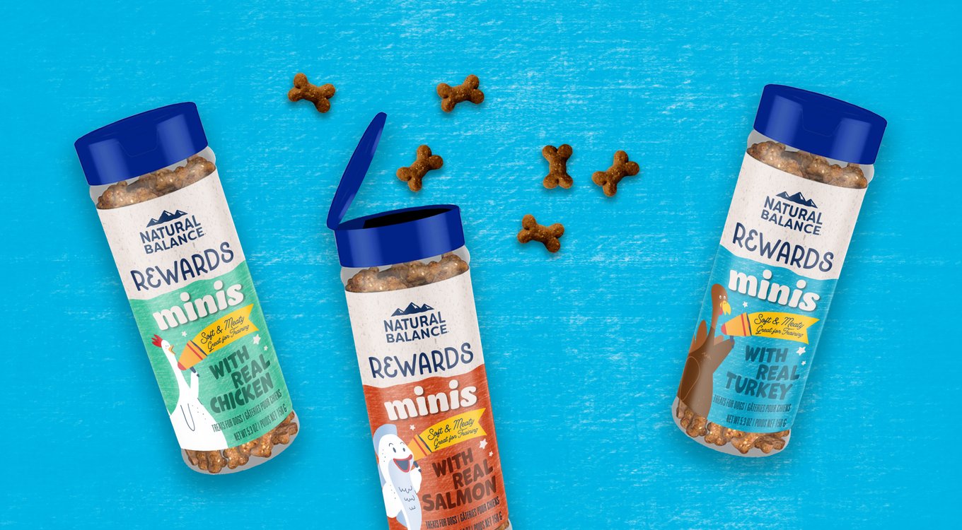 NATURAL BALANCE Rewards Duck Flavored Crunchy Biscuit Dog Treats, 14-oz ...