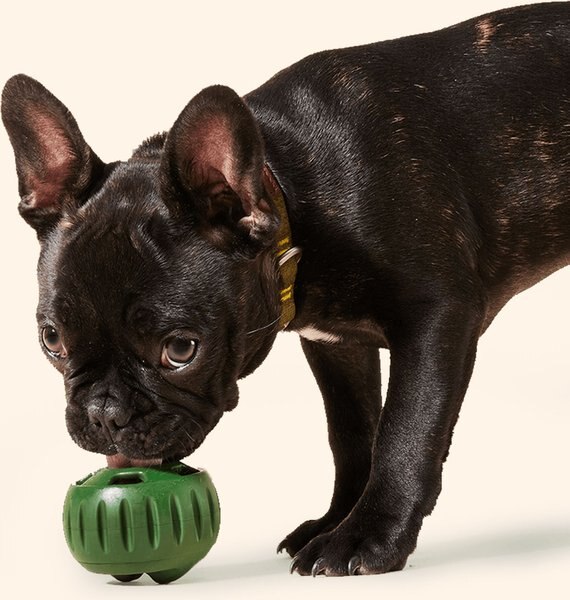 WOOF Pupsicle Pops Refills Beef Grain-Free Lickable Dog Treats, Large ...