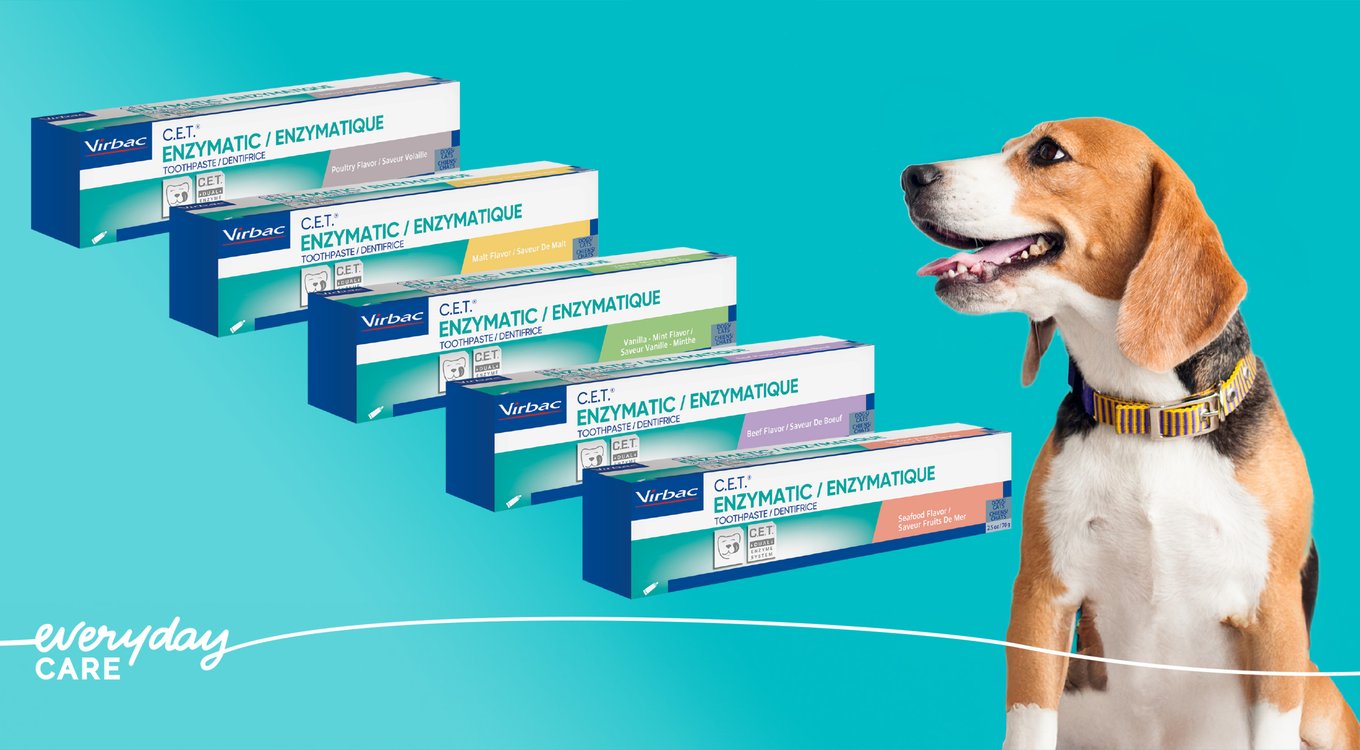 VIRBAC C.E.T. Enzymatic Poultry Flavor Dog & Cat Toothpaste, 70 gram ...