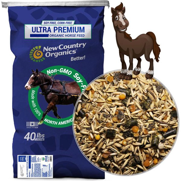 TOTAL FEEDS Total Equine Horse Feed, 40-lb bag - Chewy.com