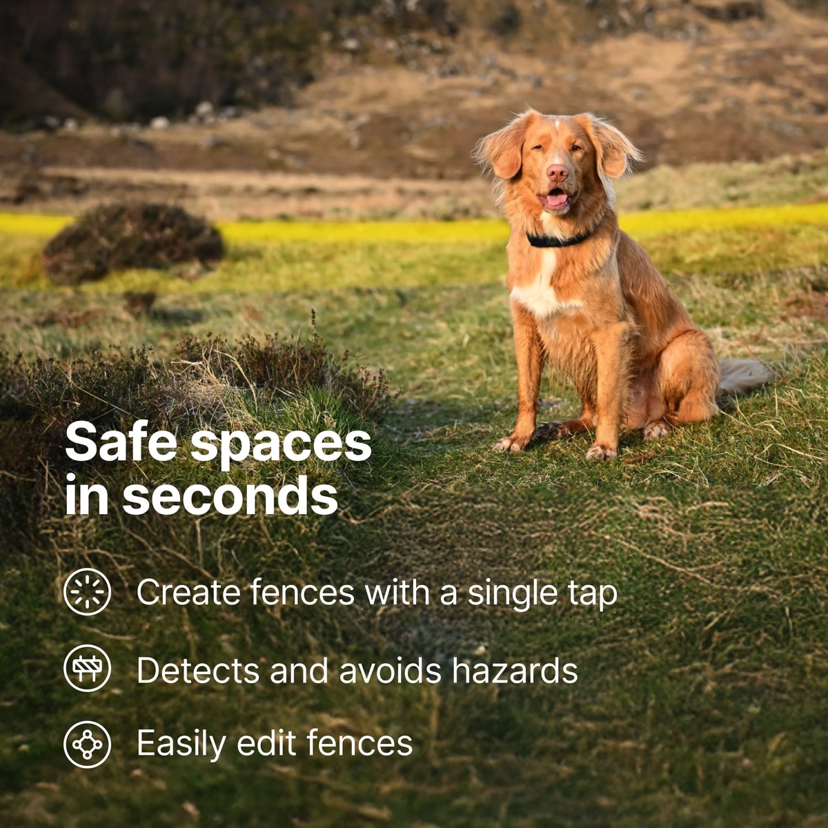 HALO COLLAR 5 Wireless Dog Fence System & GPS Collar, Blaze - Chewy.com