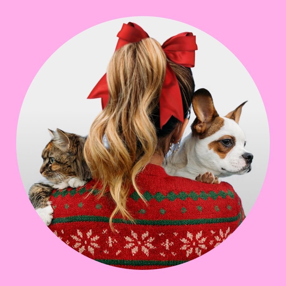 Pet Supplies and Food | 35% Off Autoship + Low Prices | Chewy