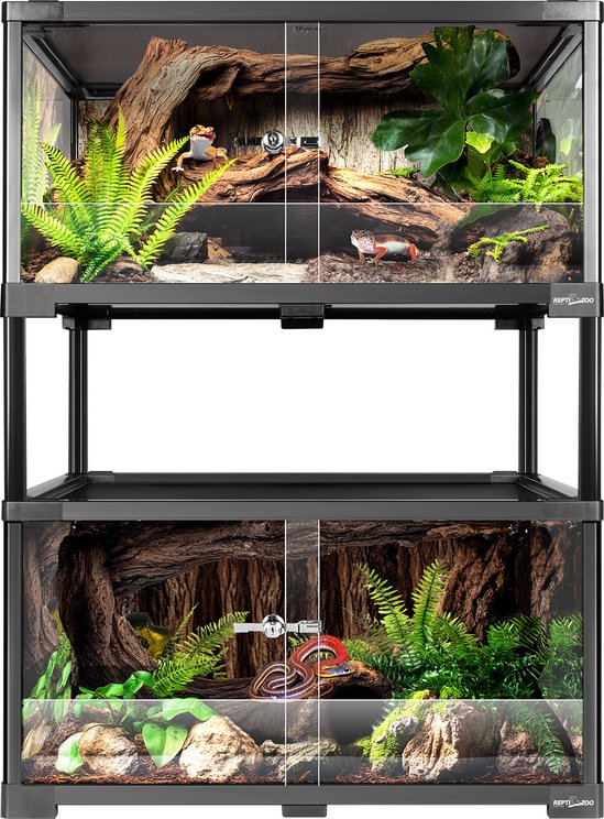 Frog Terrarium & Tanks | Chewy