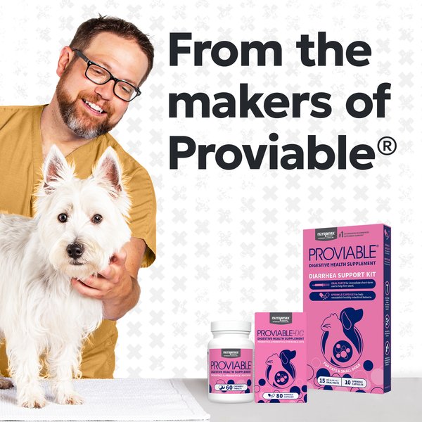 NUTRAMAX Filaquin Anal Gland & Digestive Health Peanut Butter Flavored ...